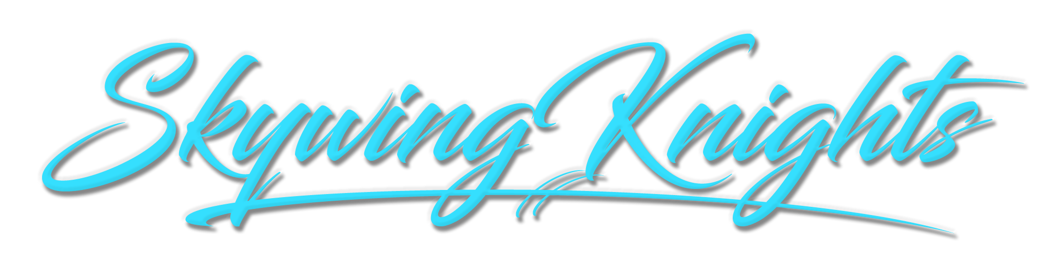 Homepage - SkywingKnights